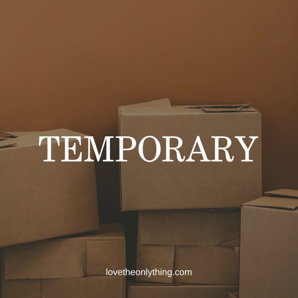 Temporary - Love, the Only Thing