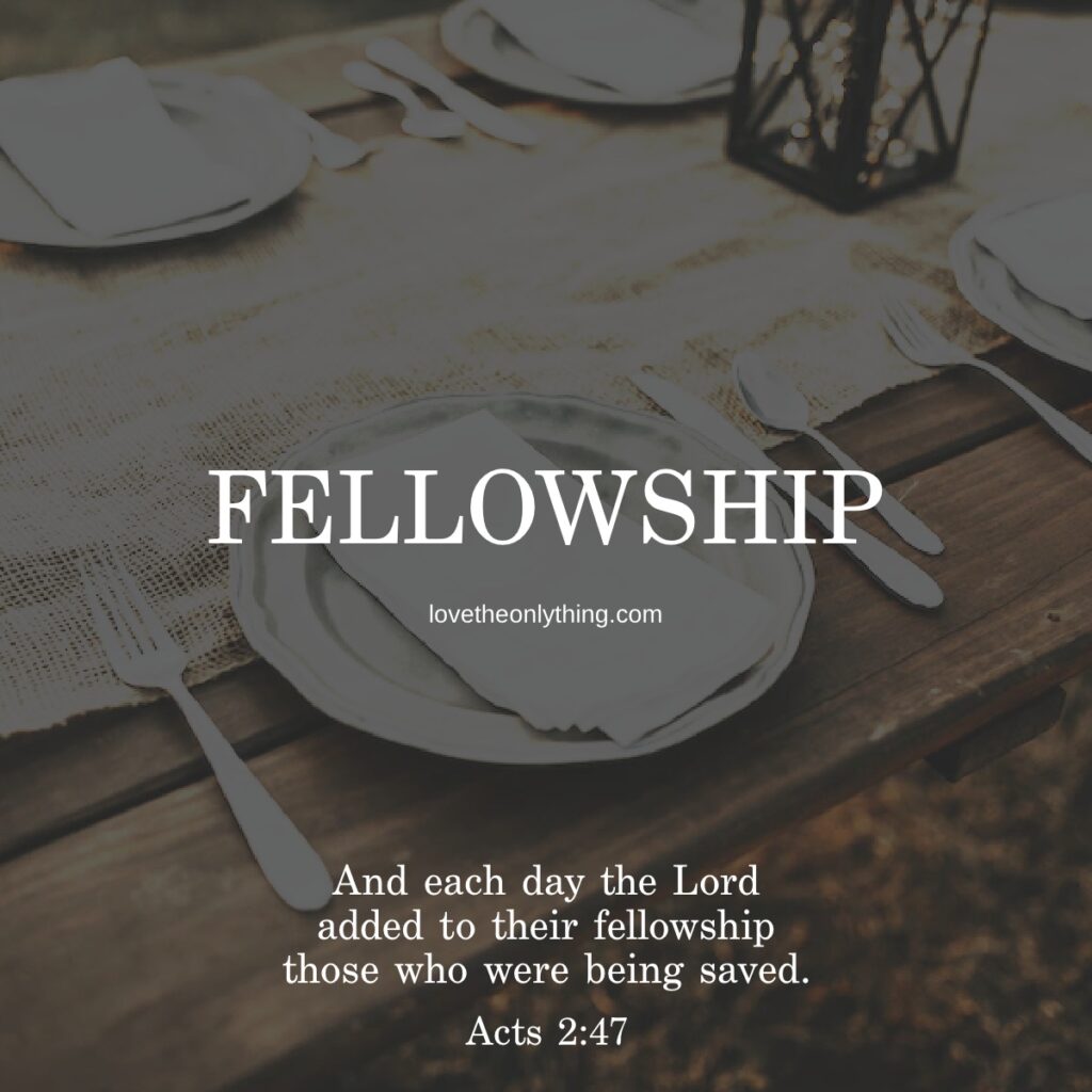 Fellowship - Love, the Only Thing